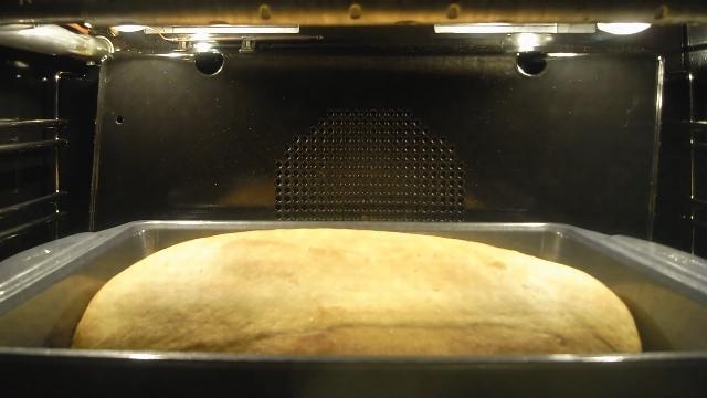 Tbread Instance Segmentation Dataset And Pre Trained Model By Licenta