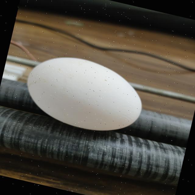 Egg & Non Egg Object Detection Dataset and Pre-Trained Model by Labelling nonegg