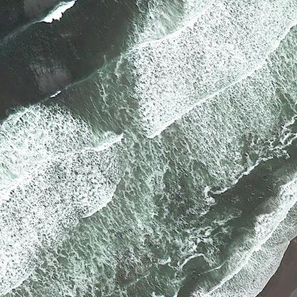 How to Use the Rip Object Detection API