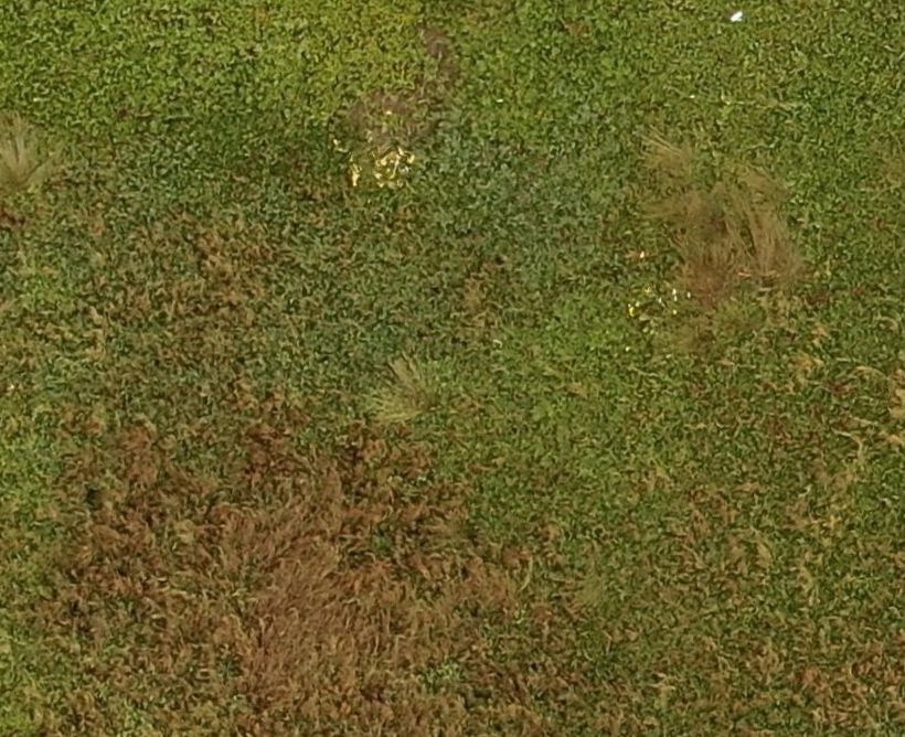 HW Instance Segmentation Dataset and Pre-Trained Model by RX Maps