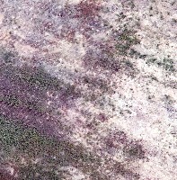 RX Maps - Roboflow Universe