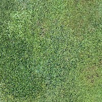 RX Maps - Roboflow Universe