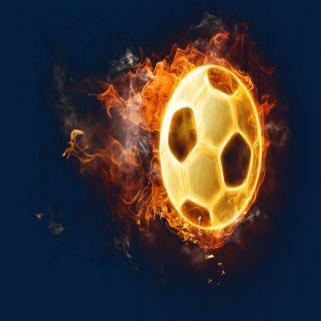 project1 Object Detection Dataset and Pre-Trained Model by project1