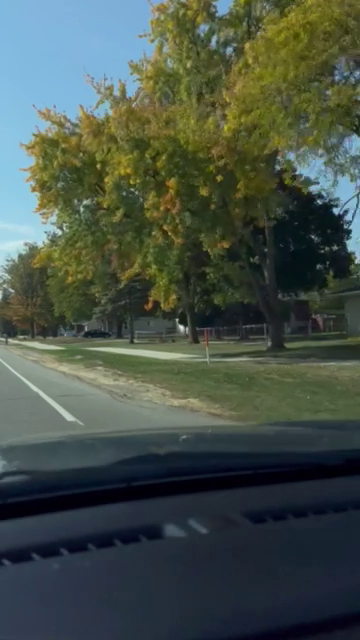 Ali Ikram - Roboflow Universe