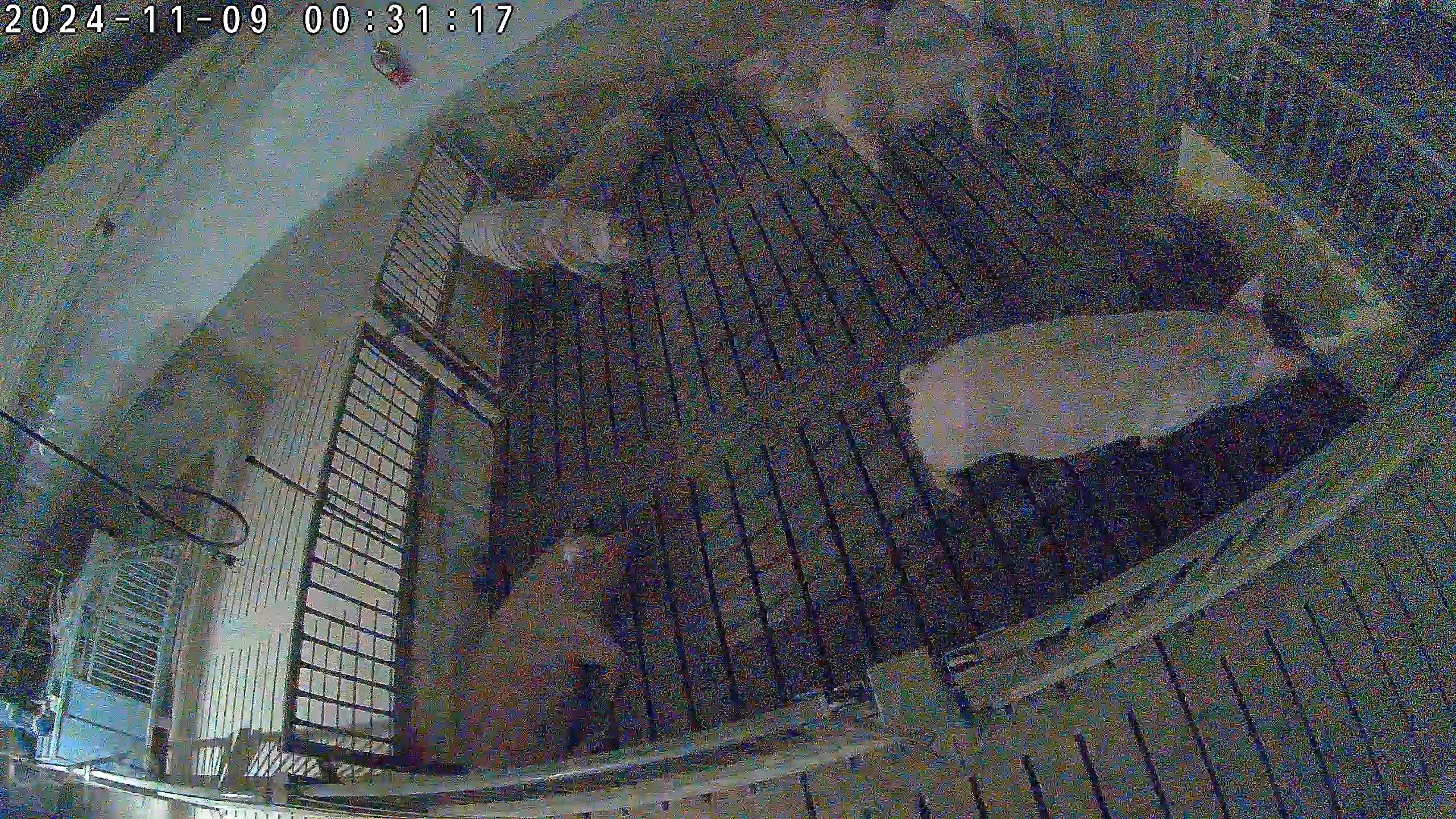 Pig Detection Object Detection Model by Lora