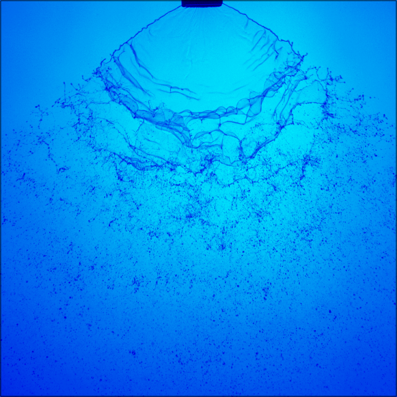 pose Keypoint Detection Dataset by test1