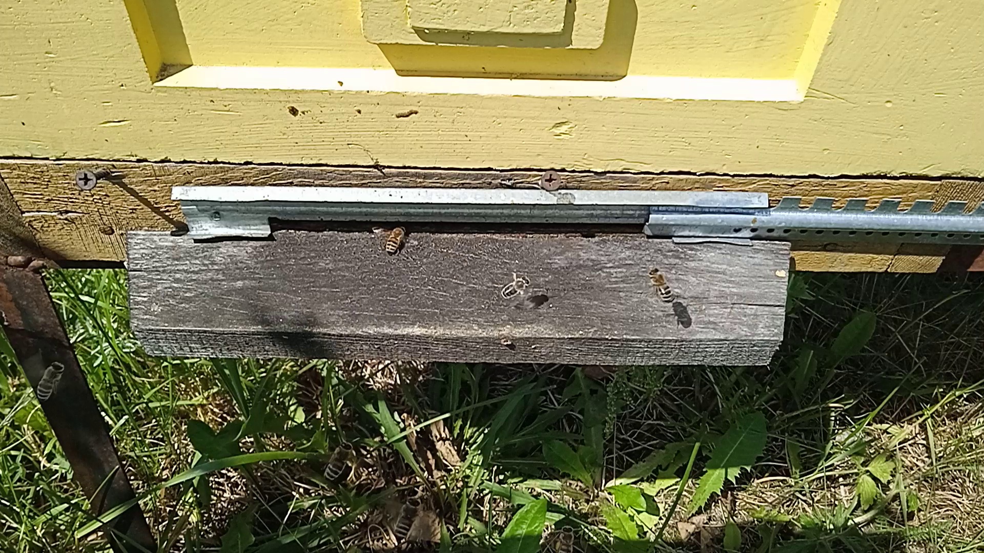 Zzz_entrance_V1 Object Detection Dataset and Pre-Trained Model by ...