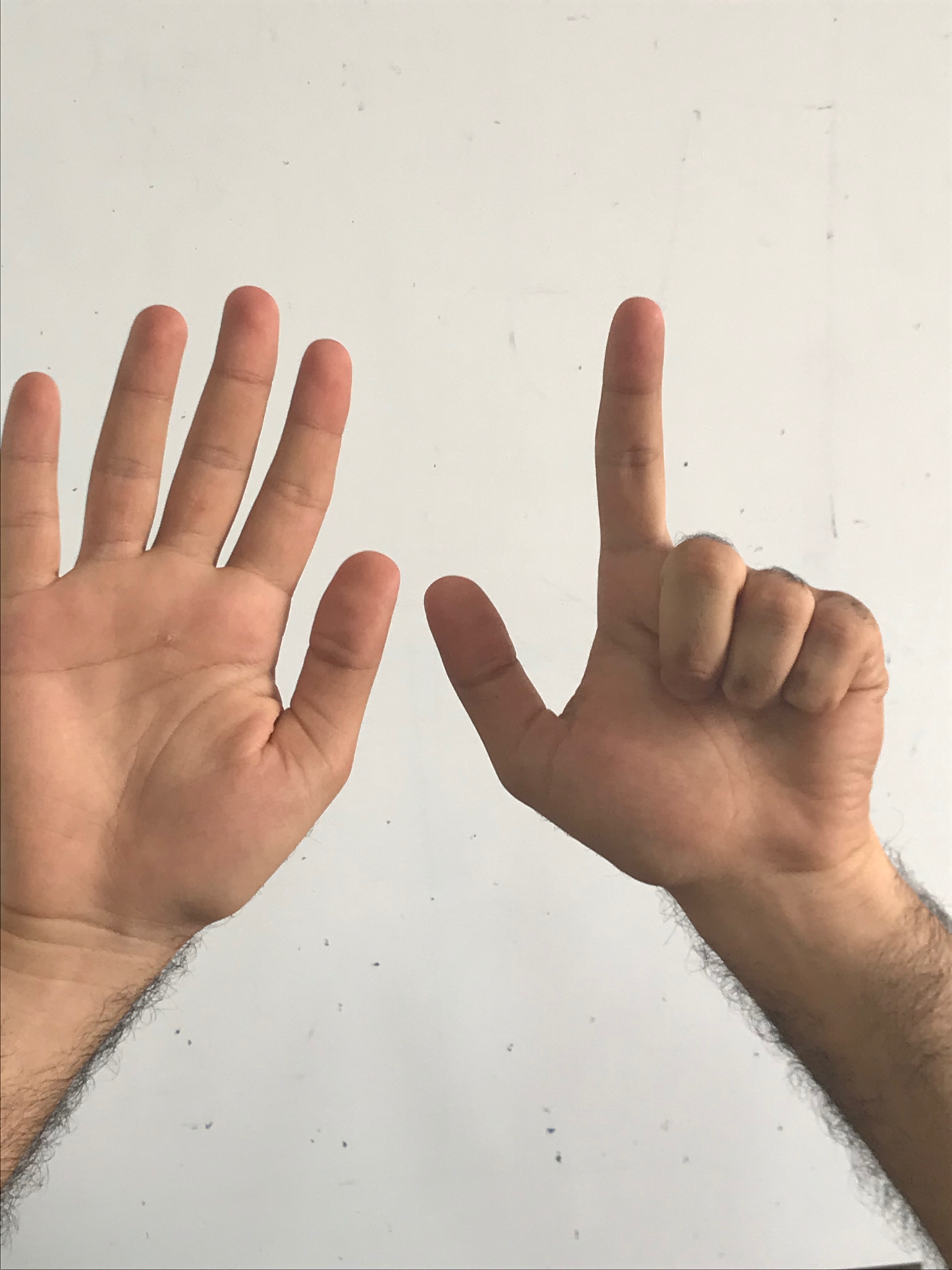 Sign Lang Object Detection Dataset By Razikous