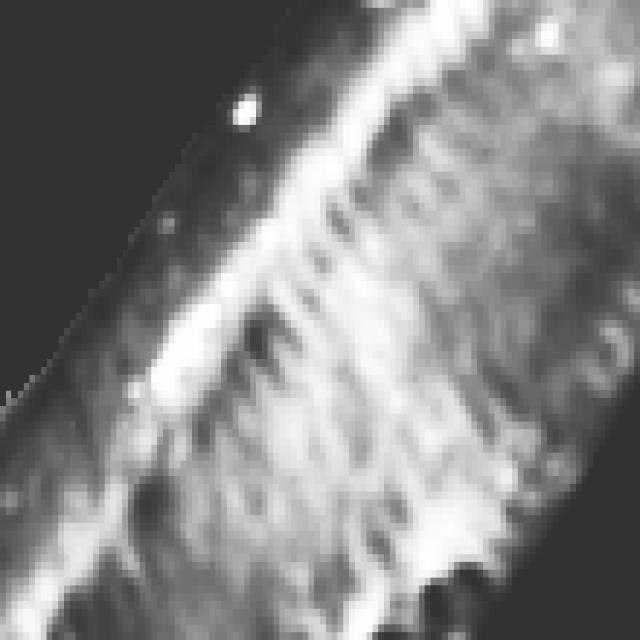 fish detection Object Detection Dataset by project1