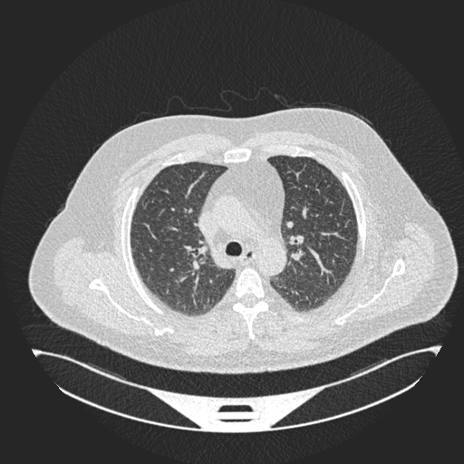 Sovereign God - Roboflow Universe