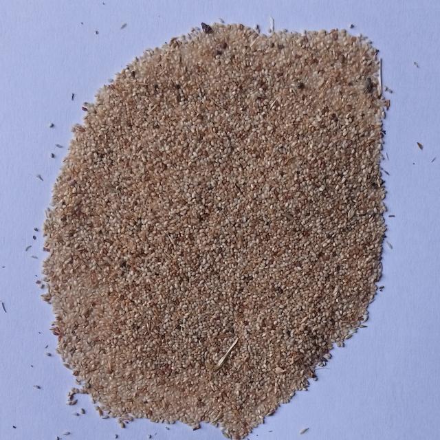 Belete Thesis Teff Instance Segmentation Dataset by teff