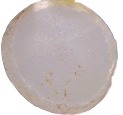 microplastics 3 Object Detection Model by Microplastics