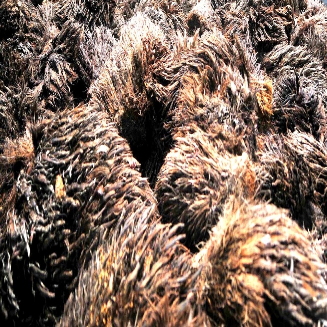 OPA BARUv2 - Merge OPA LAMA Instance Segmentation Dataset by OPA BARU