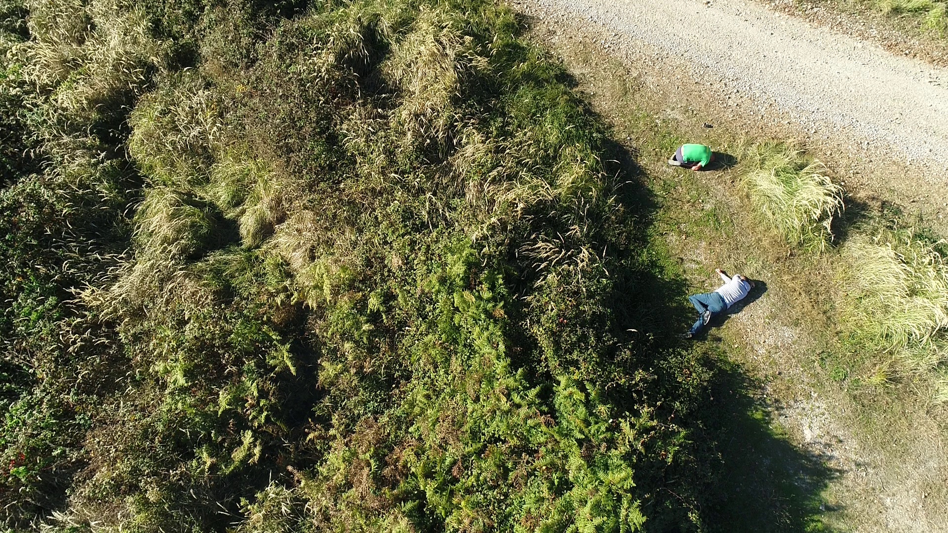 SAR Drone Object Detection Dataset by shaun