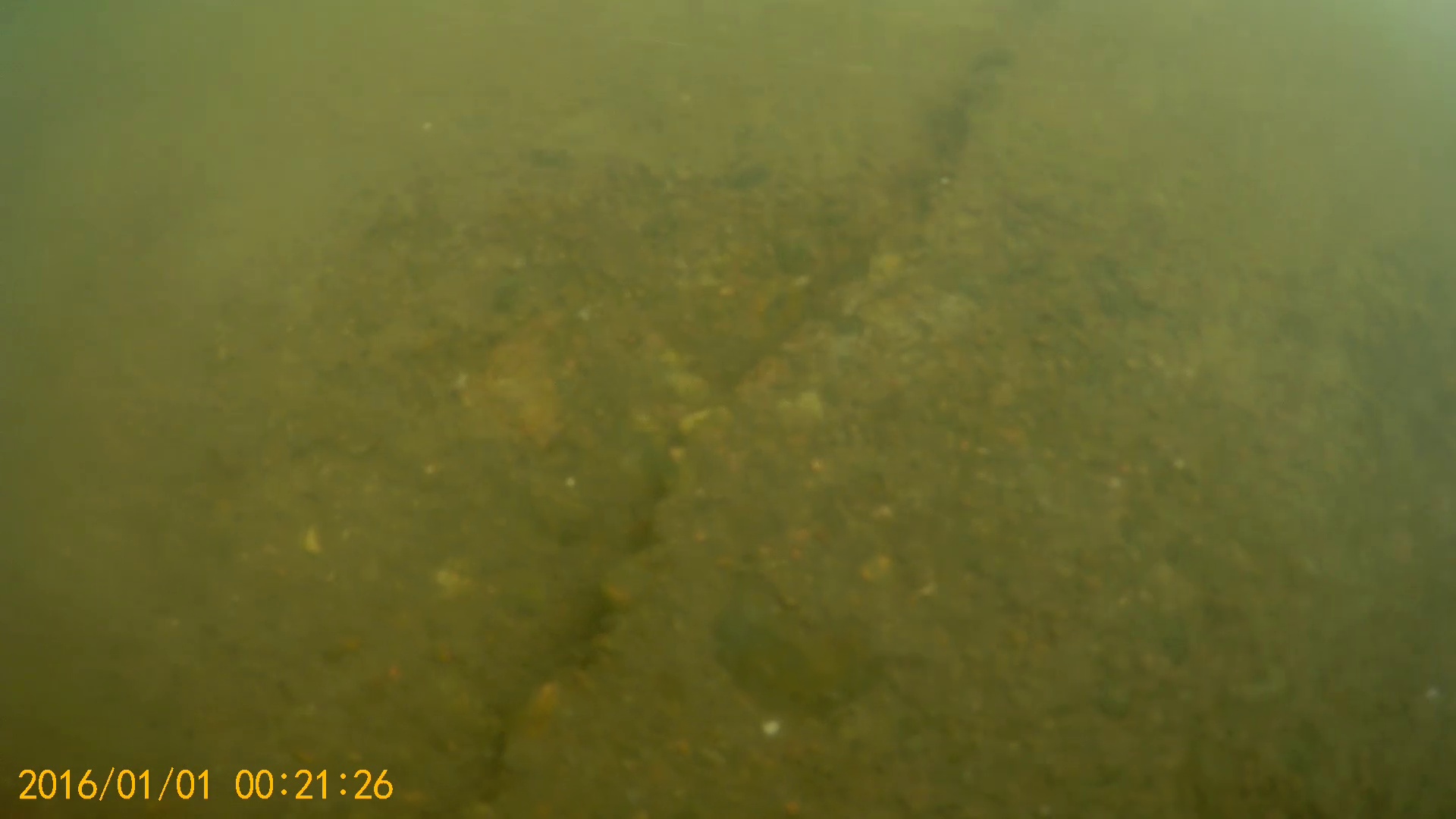 water Instance Segmentation Dataset by gzb