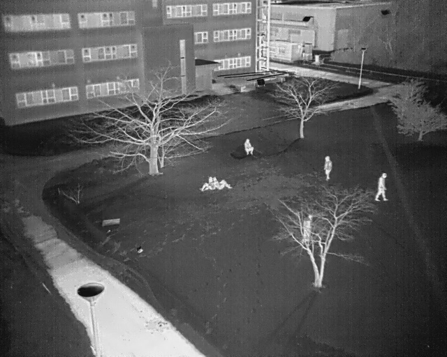 Uav Thermal Image Dataset Object Detection Dataset By Qut