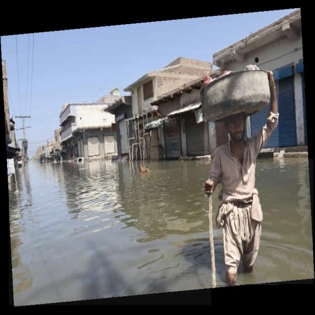 person Classification Model by humandetectionflood