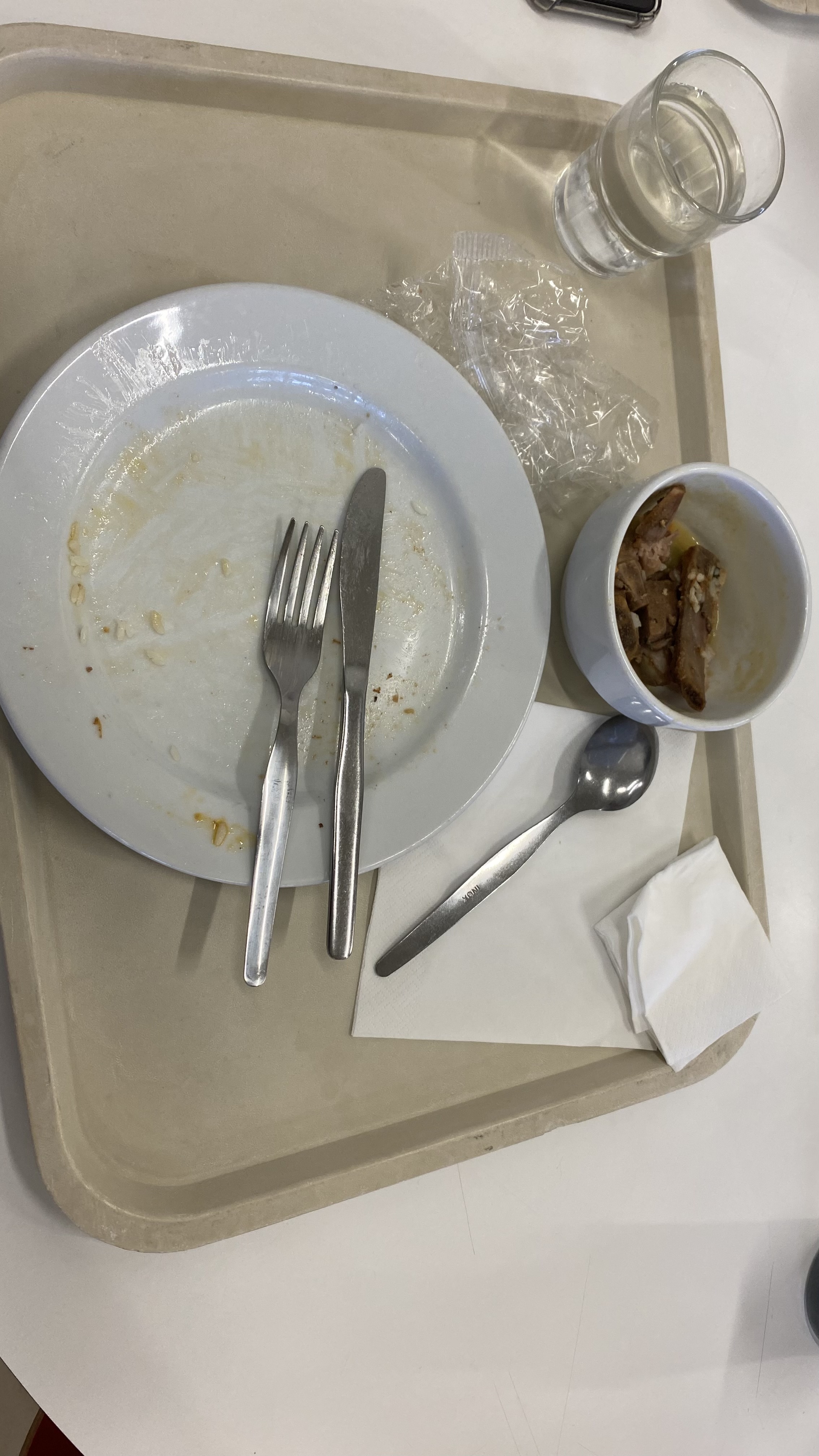 PROJ3 - Food waste detection Instance Segmentation Model by CPFoodWasteAPP