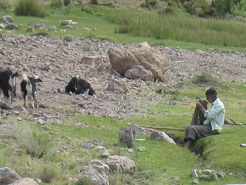 VOC Object Detection Model by MTP