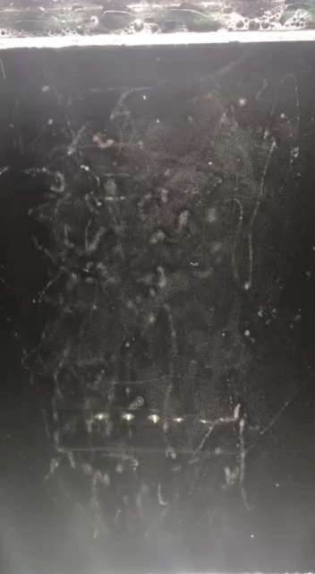 Object Detection Object Detection Model By Object Detection 3383