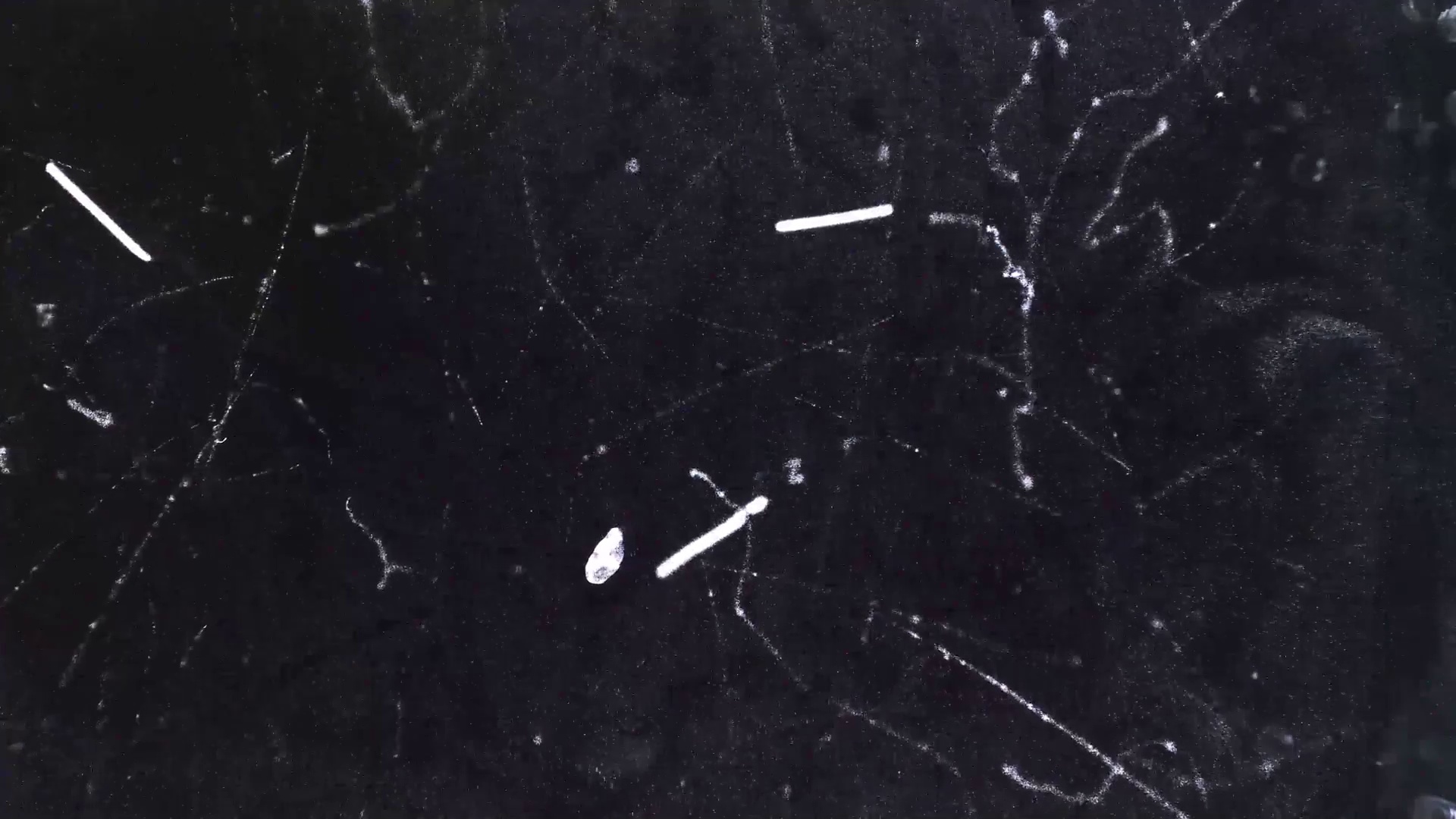 Cloud Chamber Particle Detection Object Detection Model by Nytron