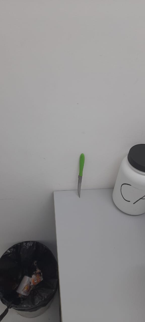 Dataset Reuniao Object Detection Dataset By Yolov