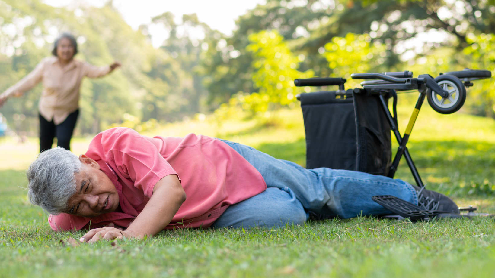 fall mod Object Detection Dataset by school