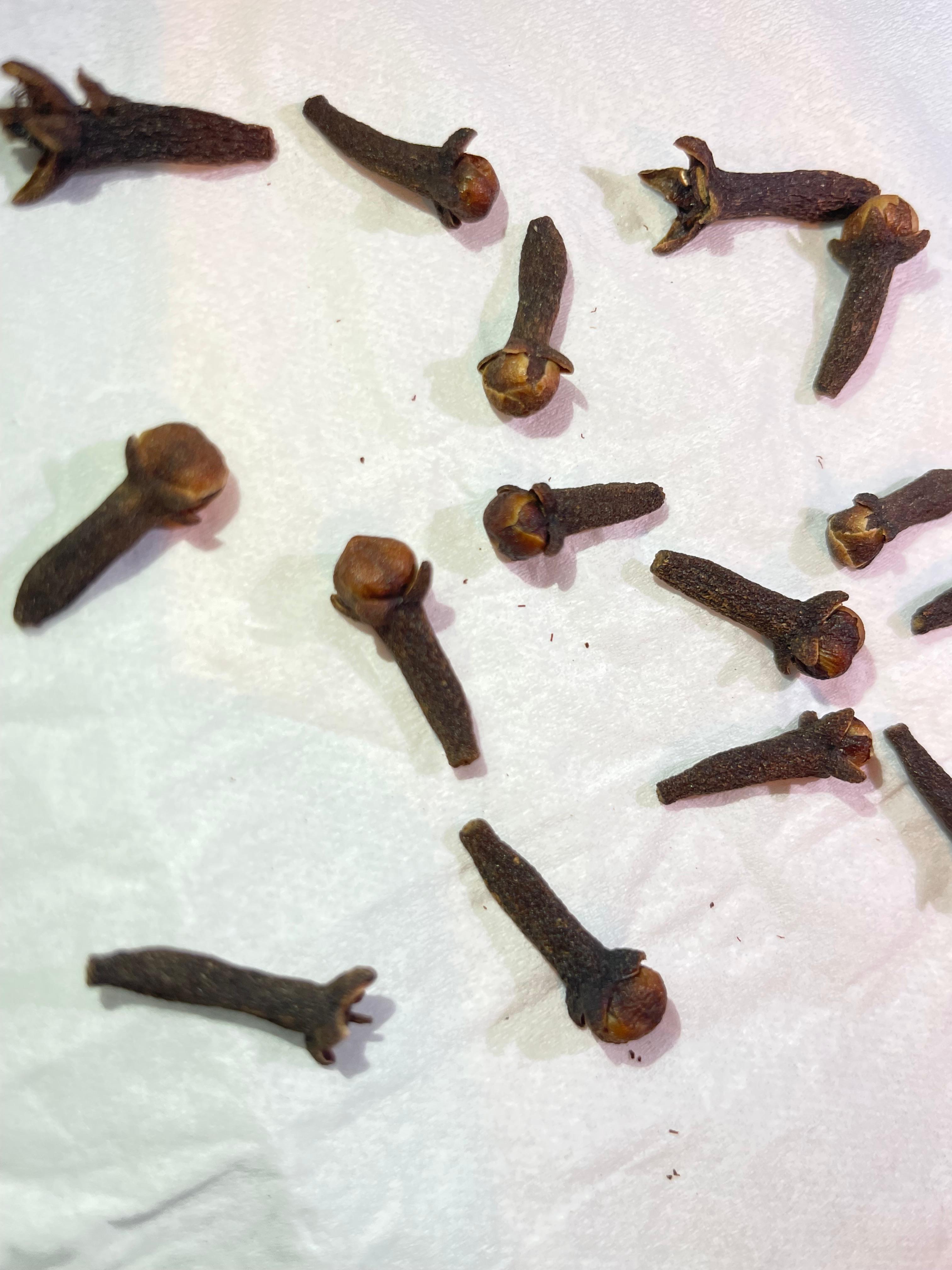 yolo (yolo-igcrk) - Roboflow Universe