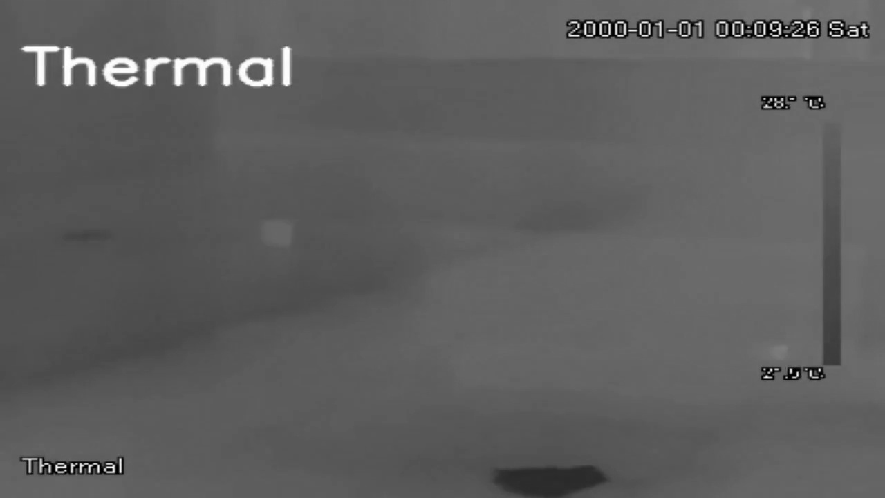 puddle Instance Segmentation Dataset and Pre-Trained Model by hank