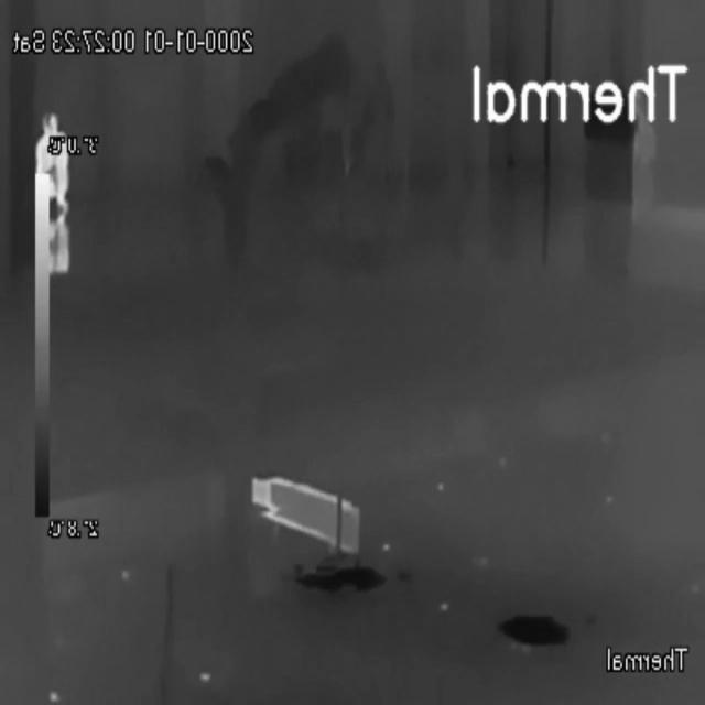 puddle Instance Segmentation Dataset by hank