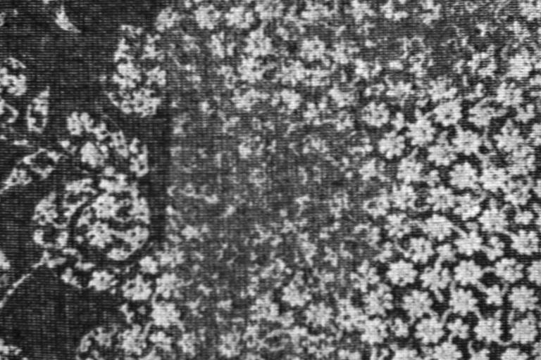 Fabric Defect Detectionnn7 Classification Dataset By Istanbul Technical