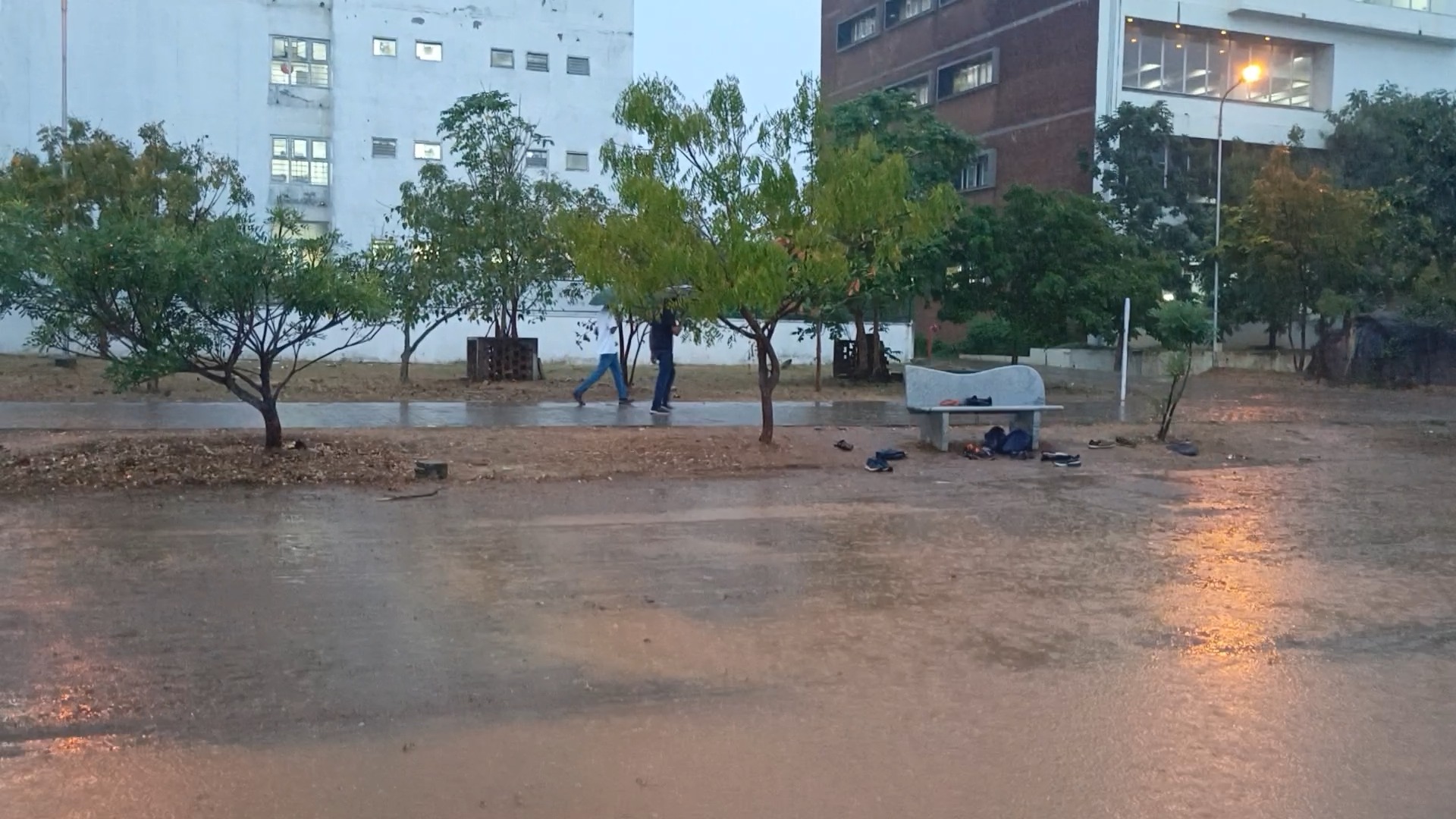 Pedestrian Detection Rain 5 Object Detection Dataset By Pedestrian Detection Rain 1