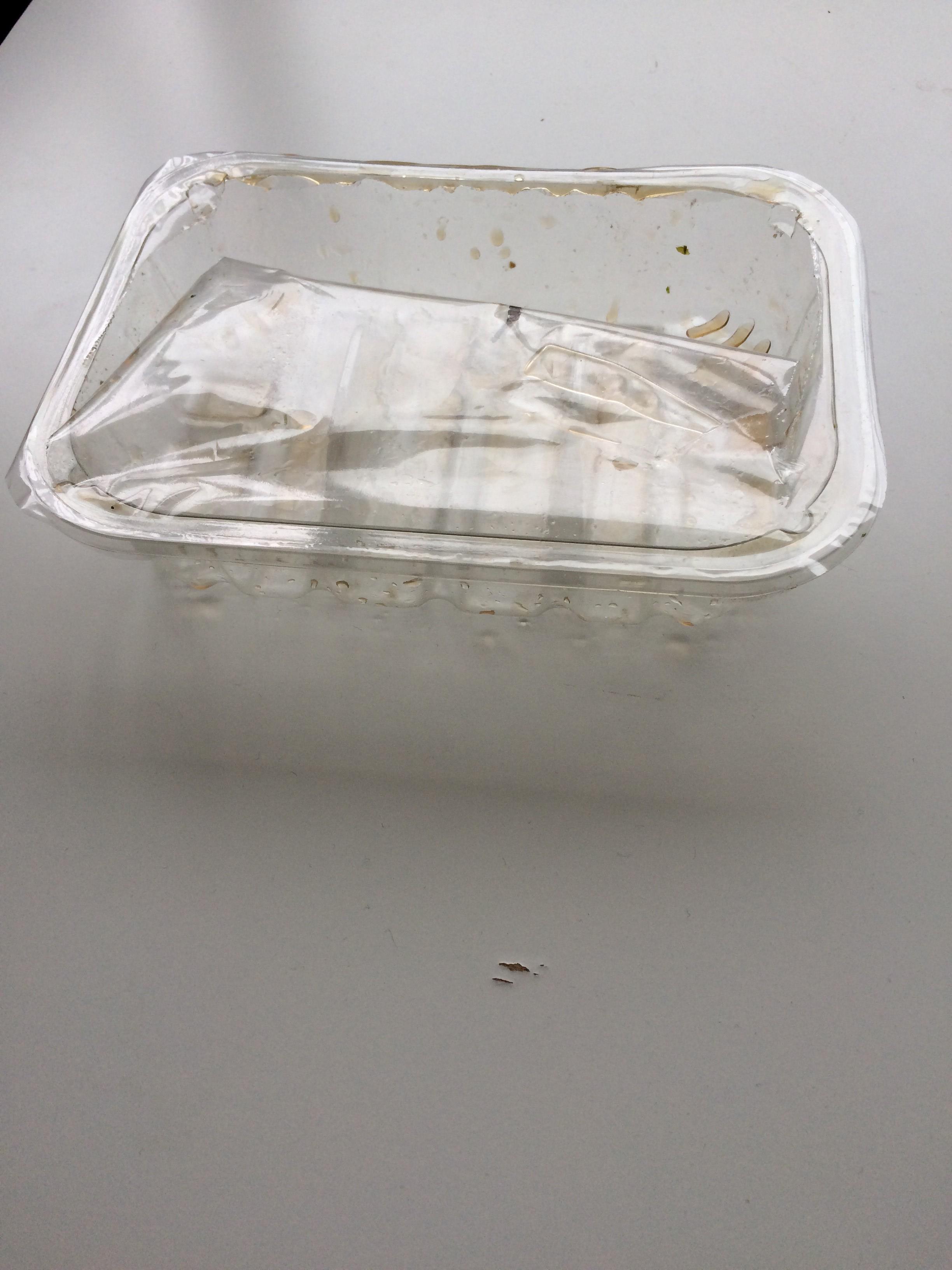 Microbasurales-TACO Instance Segmentation Dataset by seba