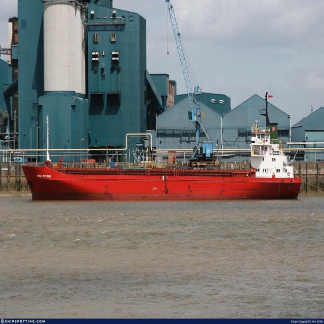 newone Instance Segmentation Dataset by segm