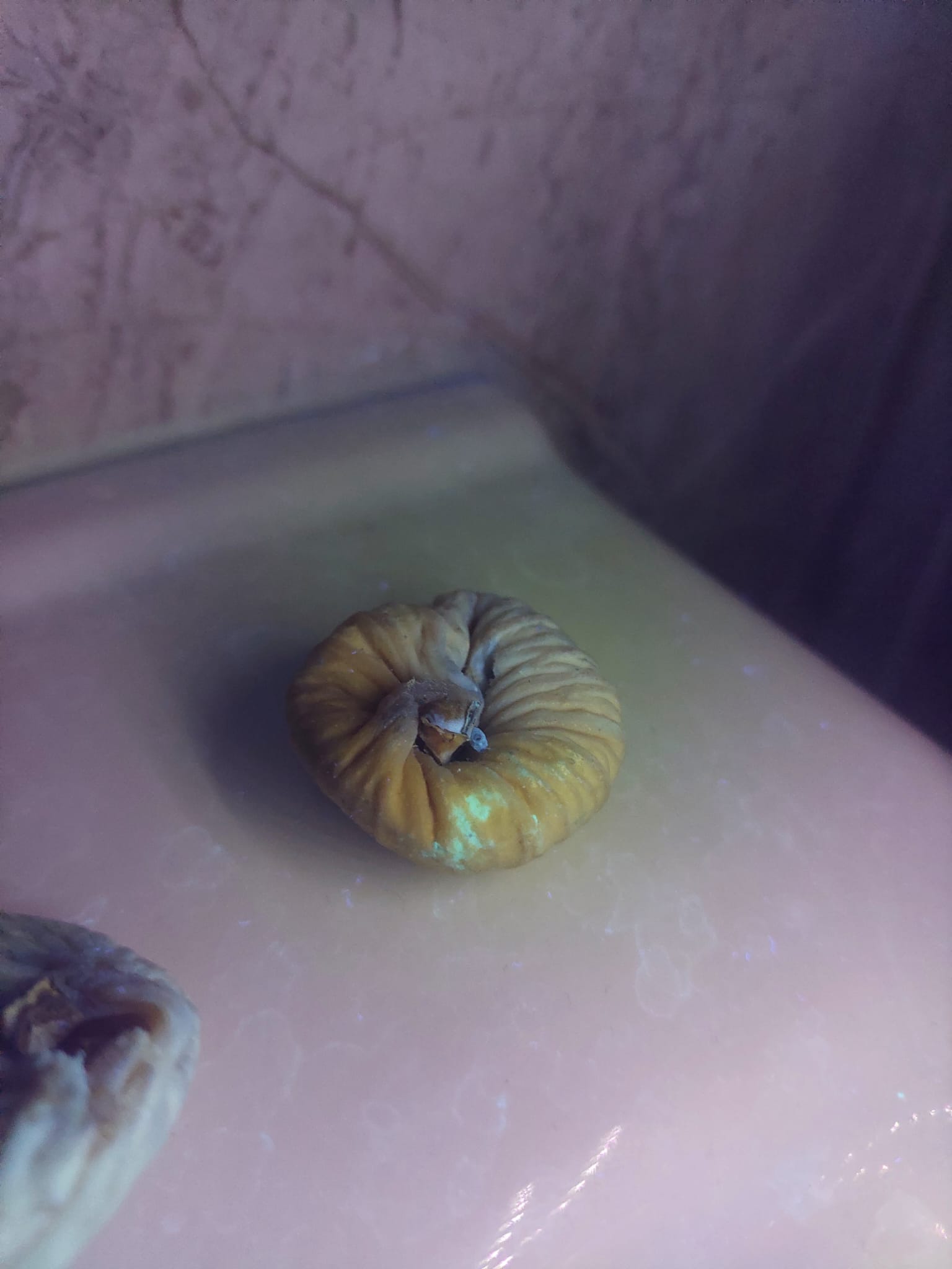 ncir - Roboflow Universe