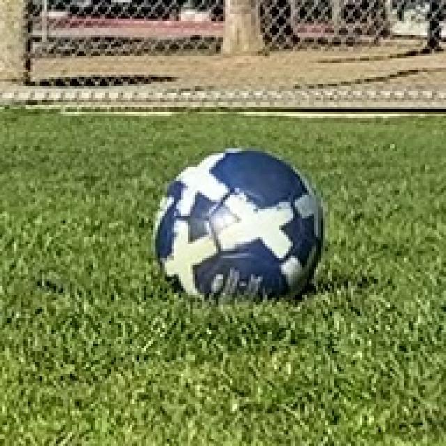 tracking-ball Object Detection Dataset by Mahendra Nakasi