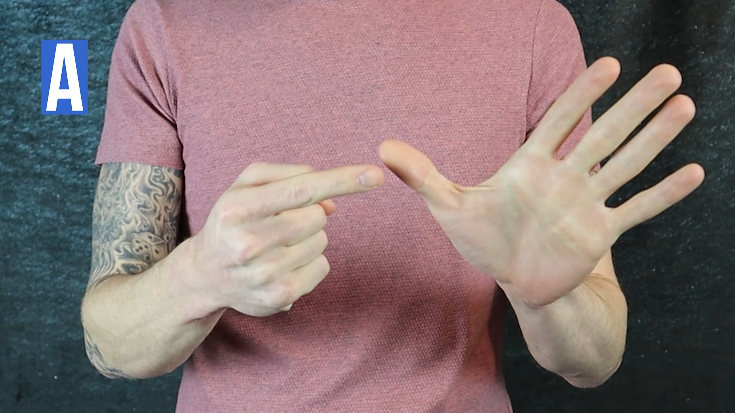 JRA fingerpelling Classification Dataset and Pre-Trained Model by JRA