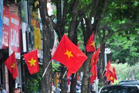 Vietnam Flag Object Detection Dataset by truongvanthanh1@dtu.edu.vn