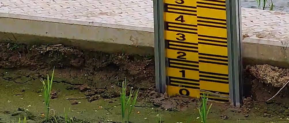 Water Level Measurement Instance Segmentation Dataset And Pre Trained Model By Jungwoong