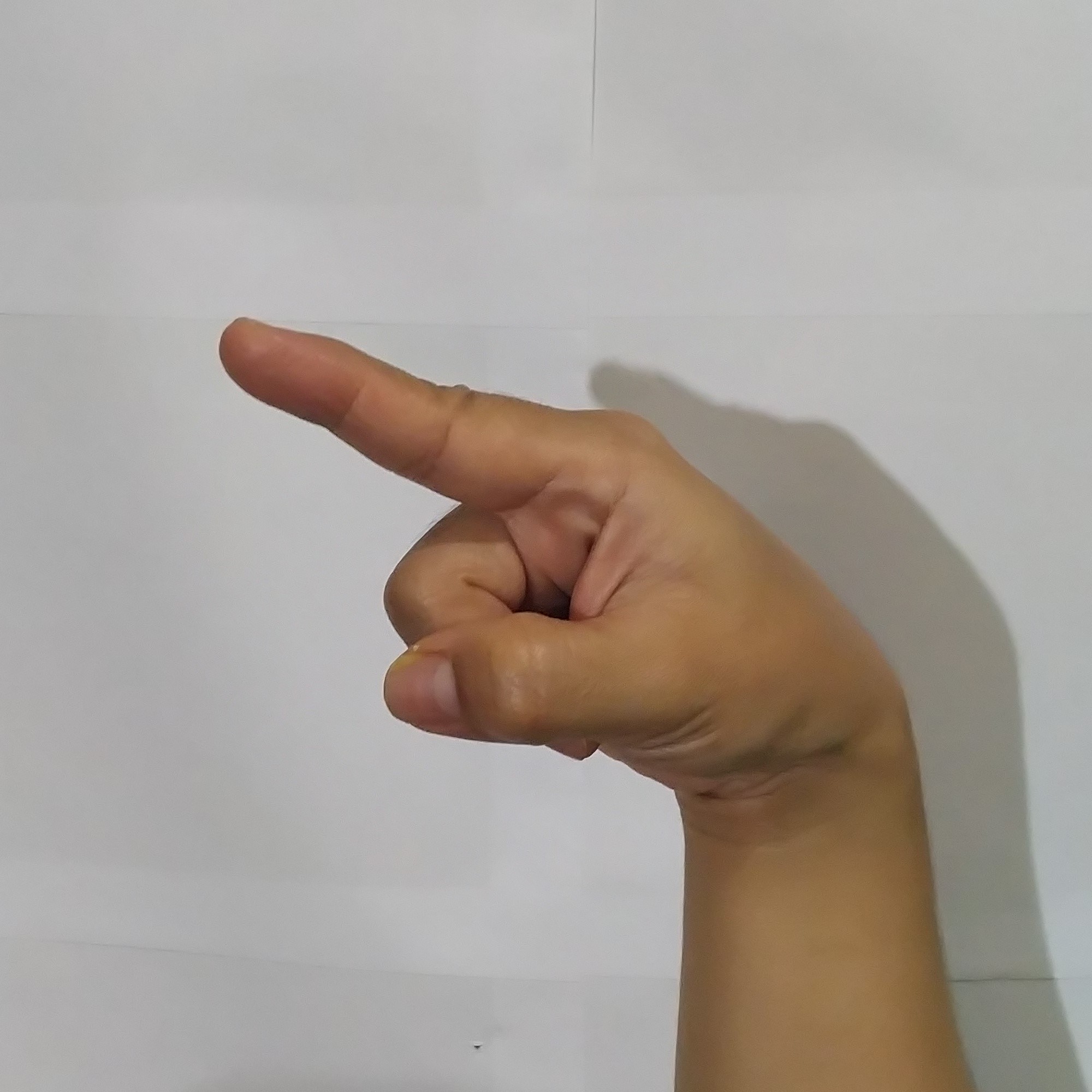 Klasifikasi Isyarat Satu Tangan SIBI Classification Dataset by ...