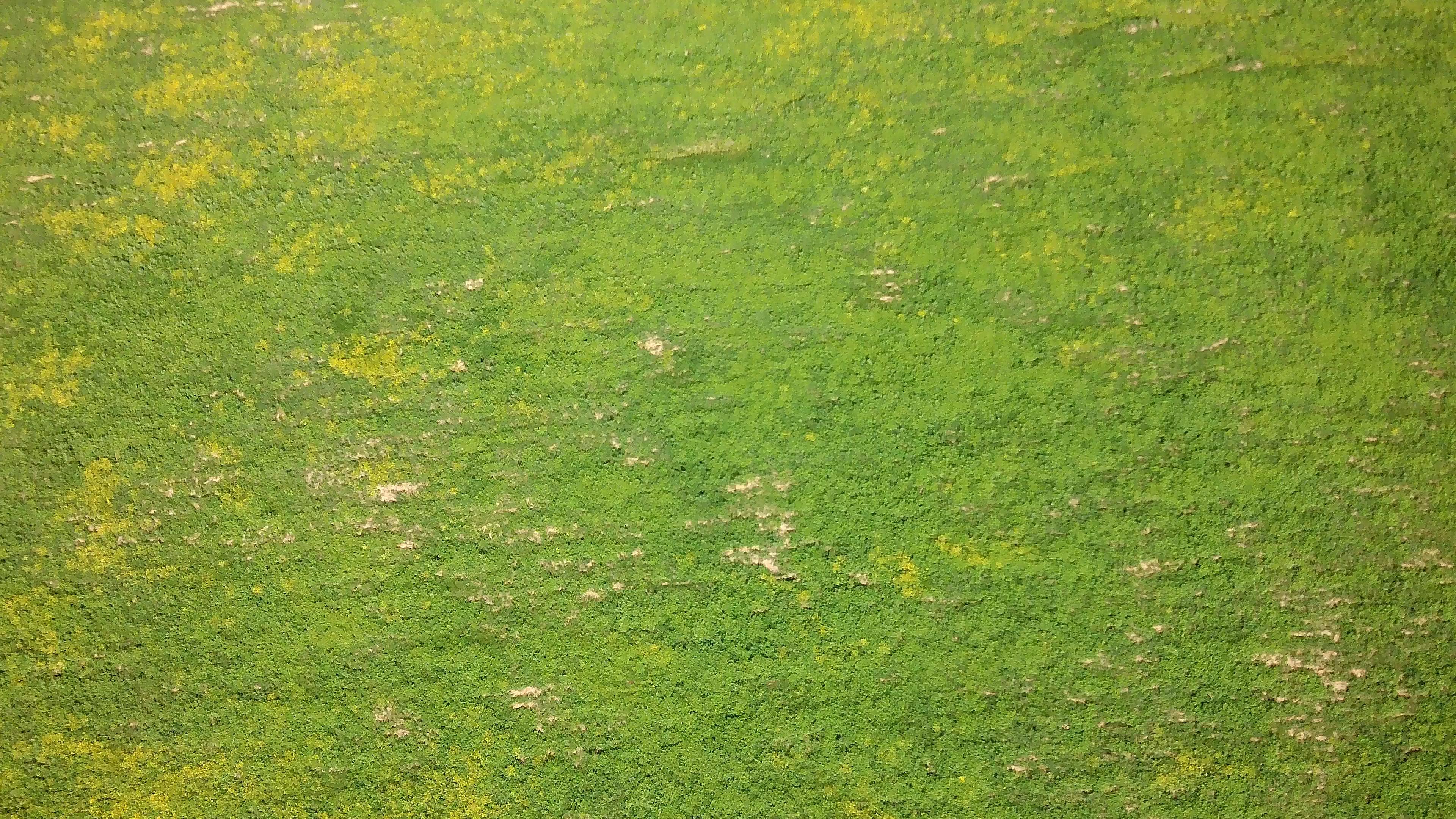 Dataset 1 0 Instance Segmentation Dataset By Project Rcyhm