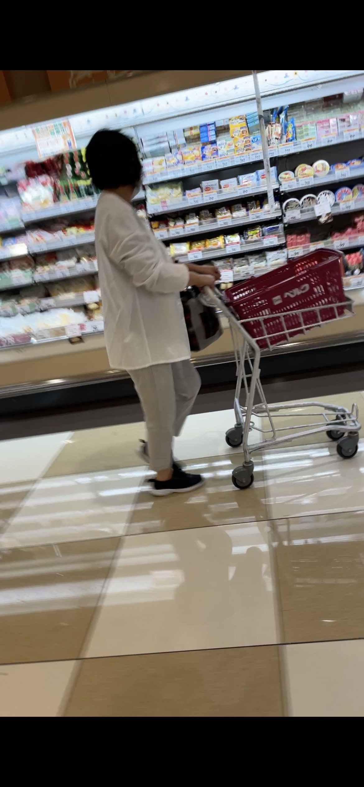 shopping_cart4 Object Detection Dataset by project-mkddv