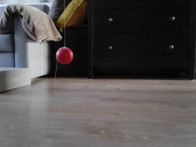 Ball Detection Object Detection Dataset by andrew Follmann