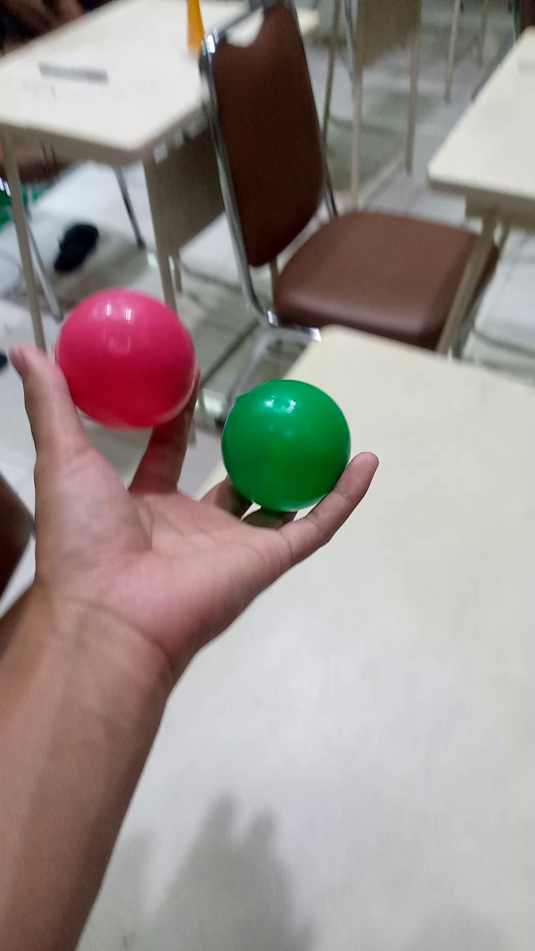 Balkecil Object Detection Dataset by andrew Follmann