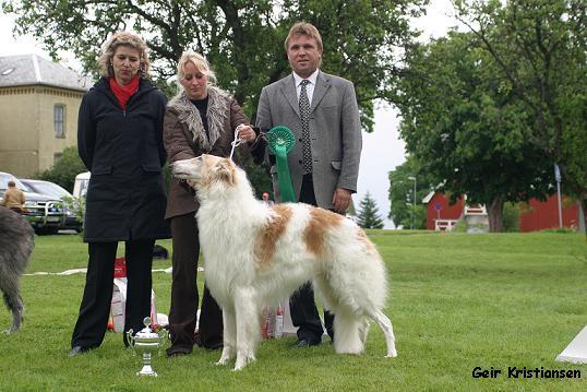 Dog Breeds Object Detection Model by Work Event