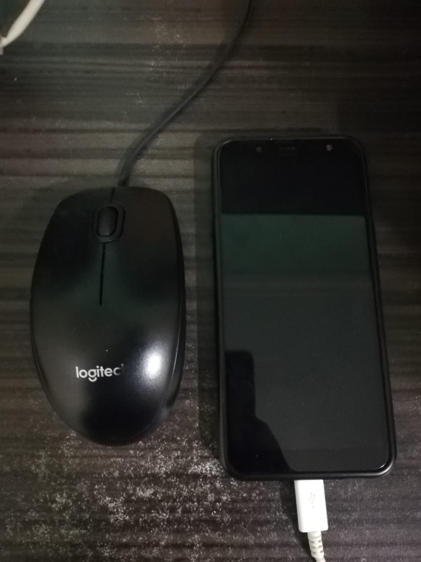 CS259 - Roboflow Universe