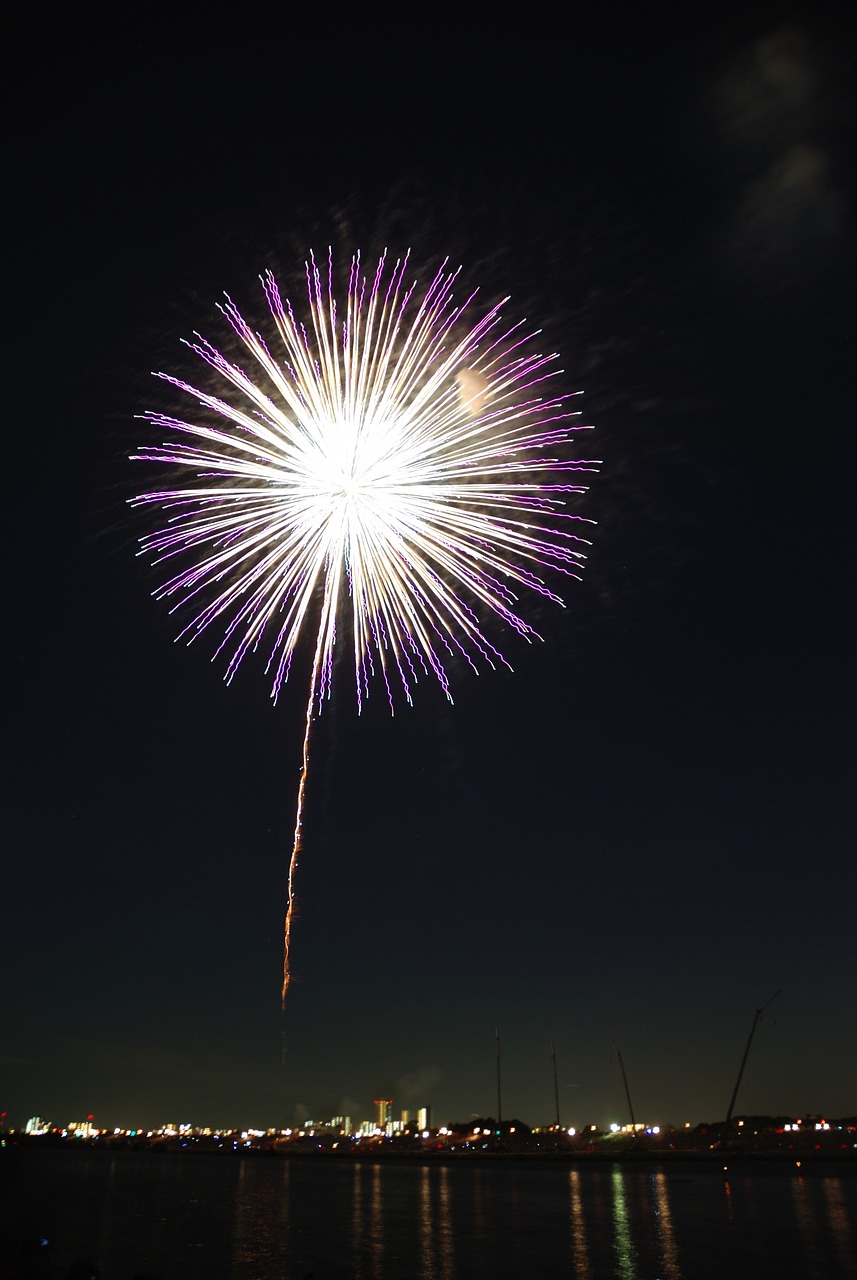 Firework Object Detection Dataset And Pre Trained Model By Test