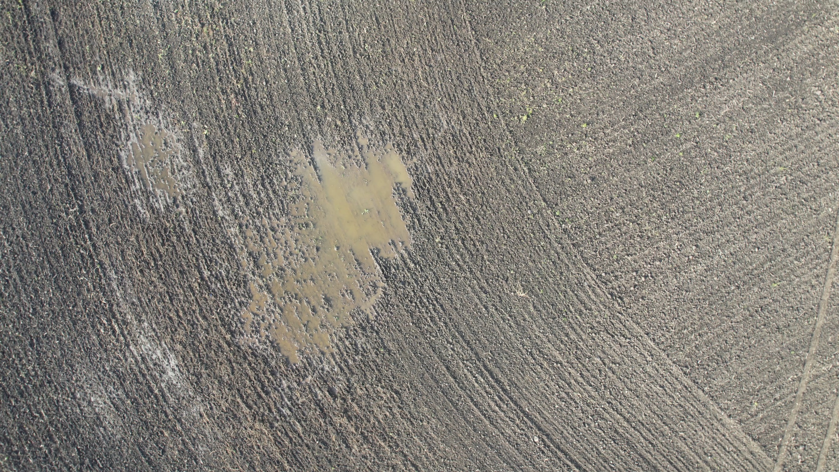 stone Object Detection Model by zalessie