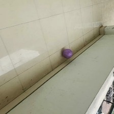 real_ball Object Detection Model by kainguyen