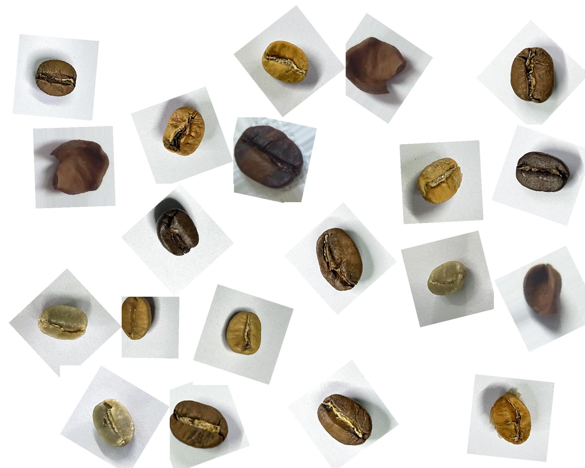 Roasted Coffee Beans 100 Object Detection Dataset by JingJing